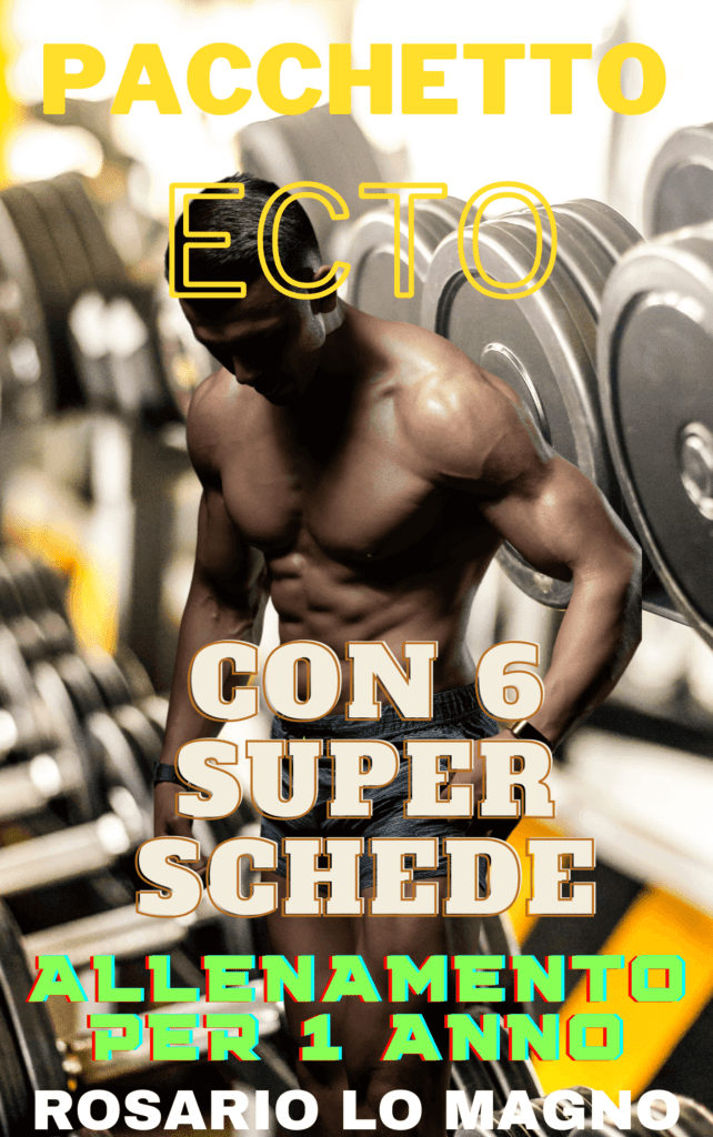 ECTO - SCHEDE - PDF - PROMO - Trainers Body